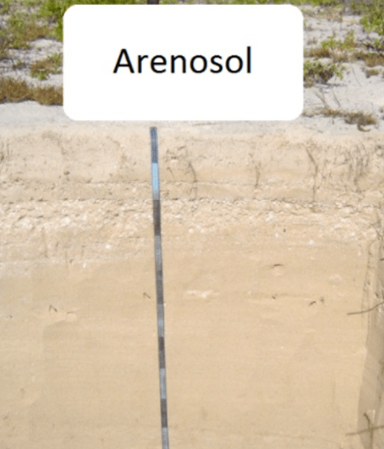 CONOCER LOS SUELOS PREVIENE DESASTRES NATURALES – Quimcasa de México