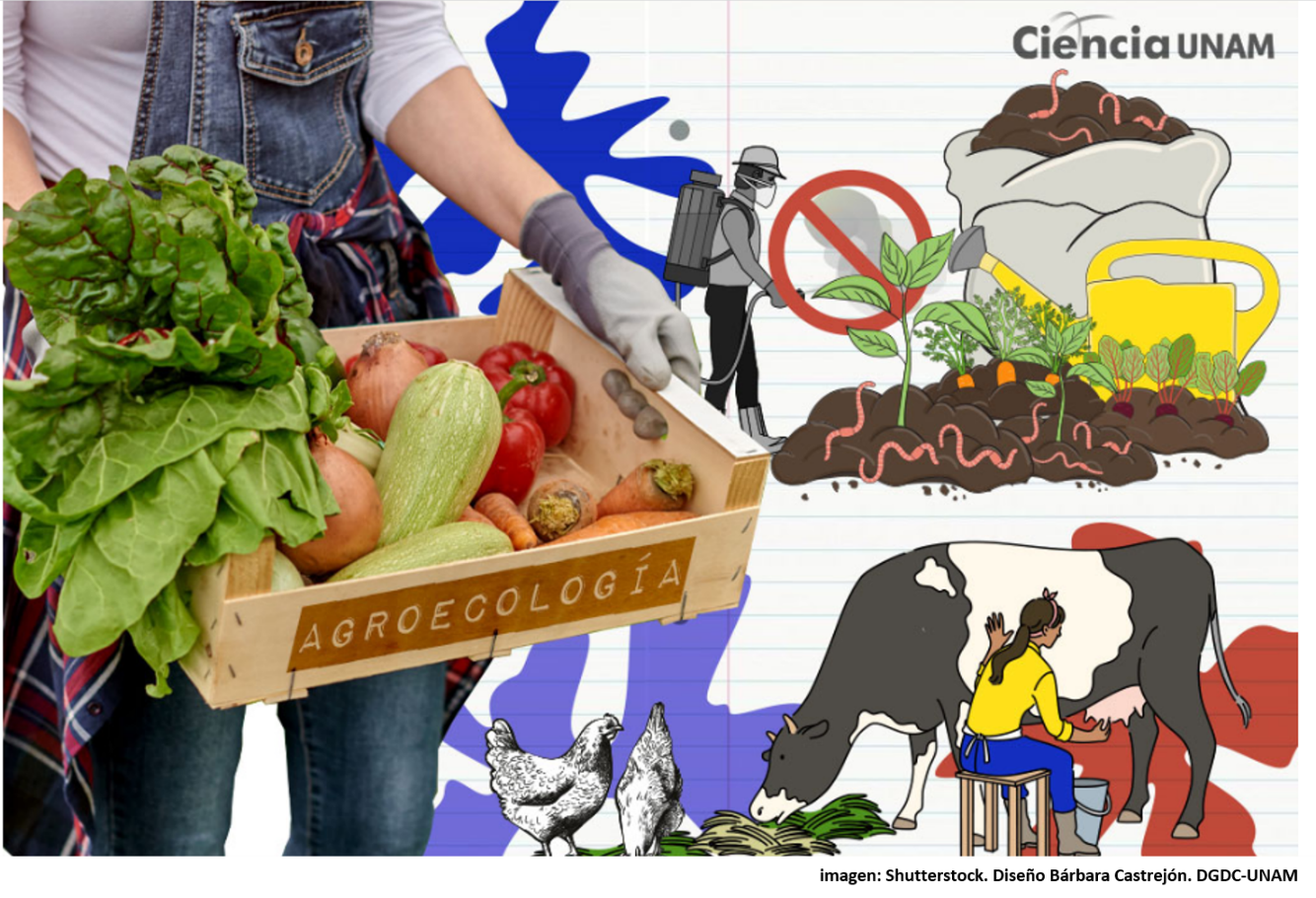 LA AGROECOLOGIA, HACIA MEJORES PRACTICAS AGRICOLAS 2da Parte – Quimcasa ...