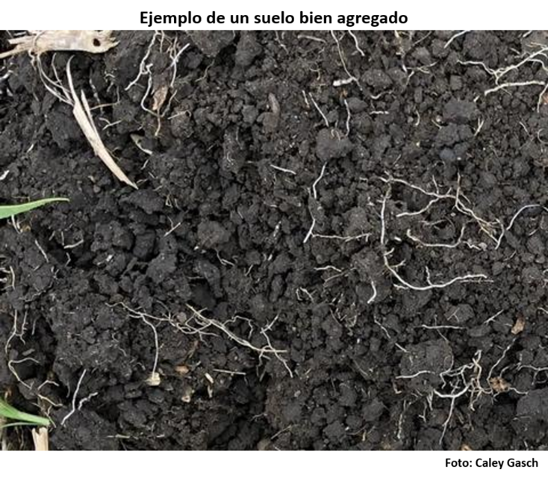 LA MATERIA ORGÁNICA DEL SUELO 2da Parte – Quimcasa de México