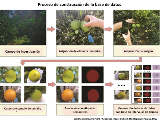TECNICAS AVANZADAS DE INTELIGENCIA ARTIFICIAL PARA PREDECIR Y ...